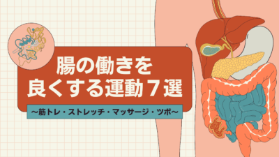 腸の働きを良くする運動7選〜筋トレ・ストレッチ・マッサージ・ツボ〜 – Work Conditioning Tips!