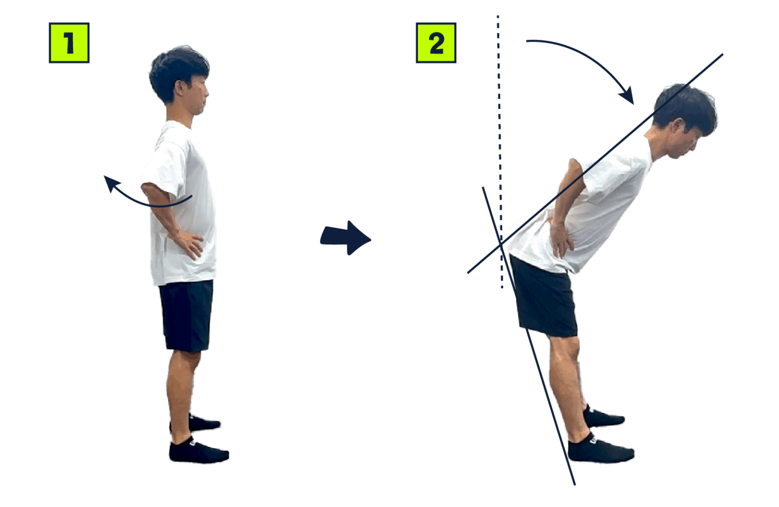 デスクワーカー腰痛予防＆対策メソッド｜安静よりも “Stay Active” が正解 – Work Conditioning Tips!